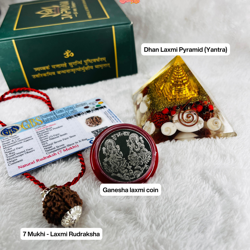 7 Mukhi Rudraksha With Lab Certified - Original + Dhan Laxmi Pyramid C ...